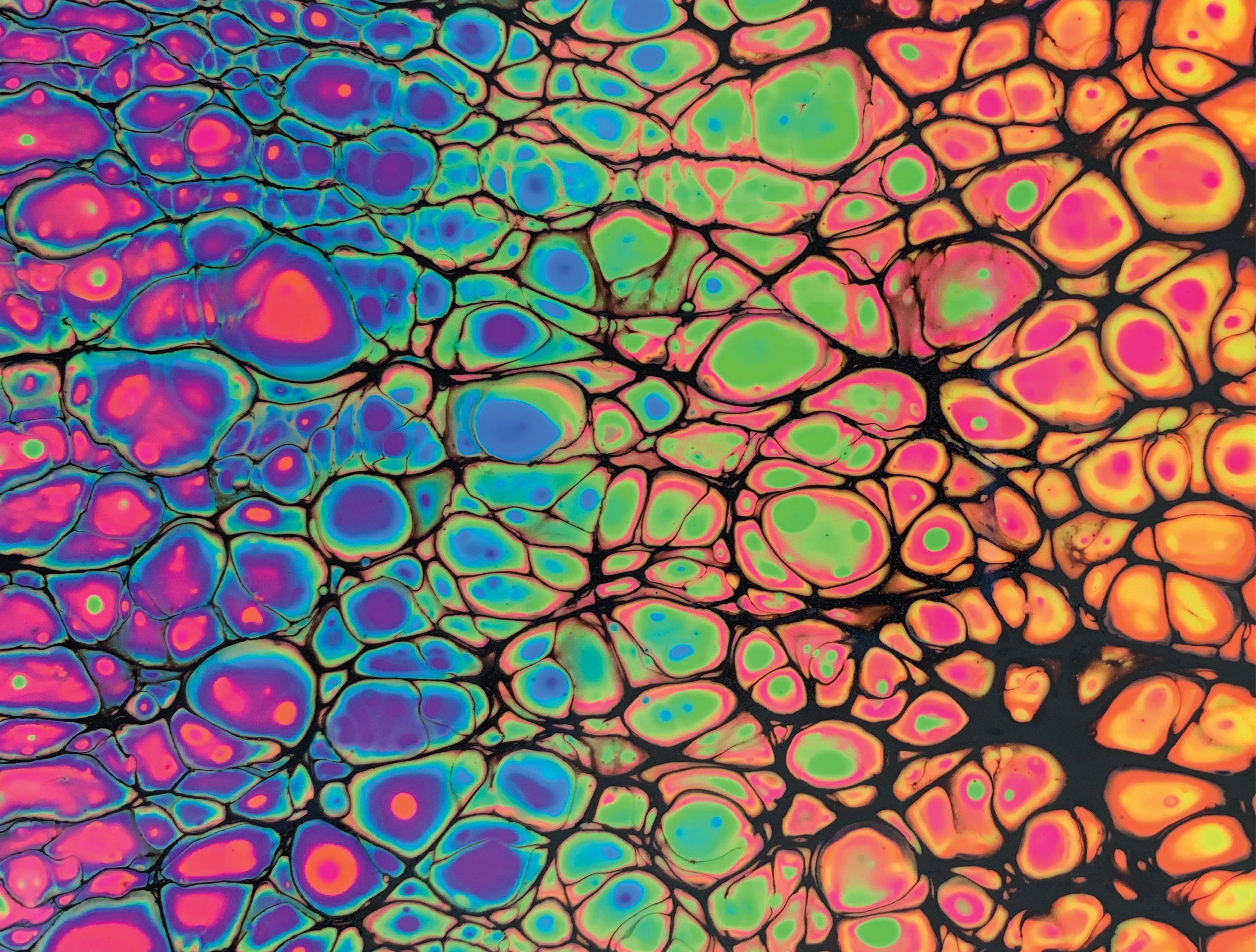 Bespattered Facade by Nikki Gregoire