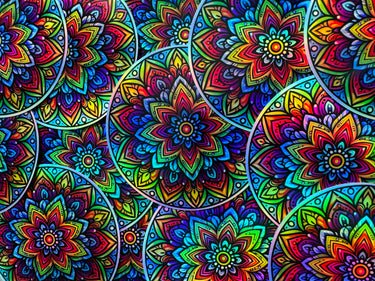 Bespattered Facade by Nikki Gregoire